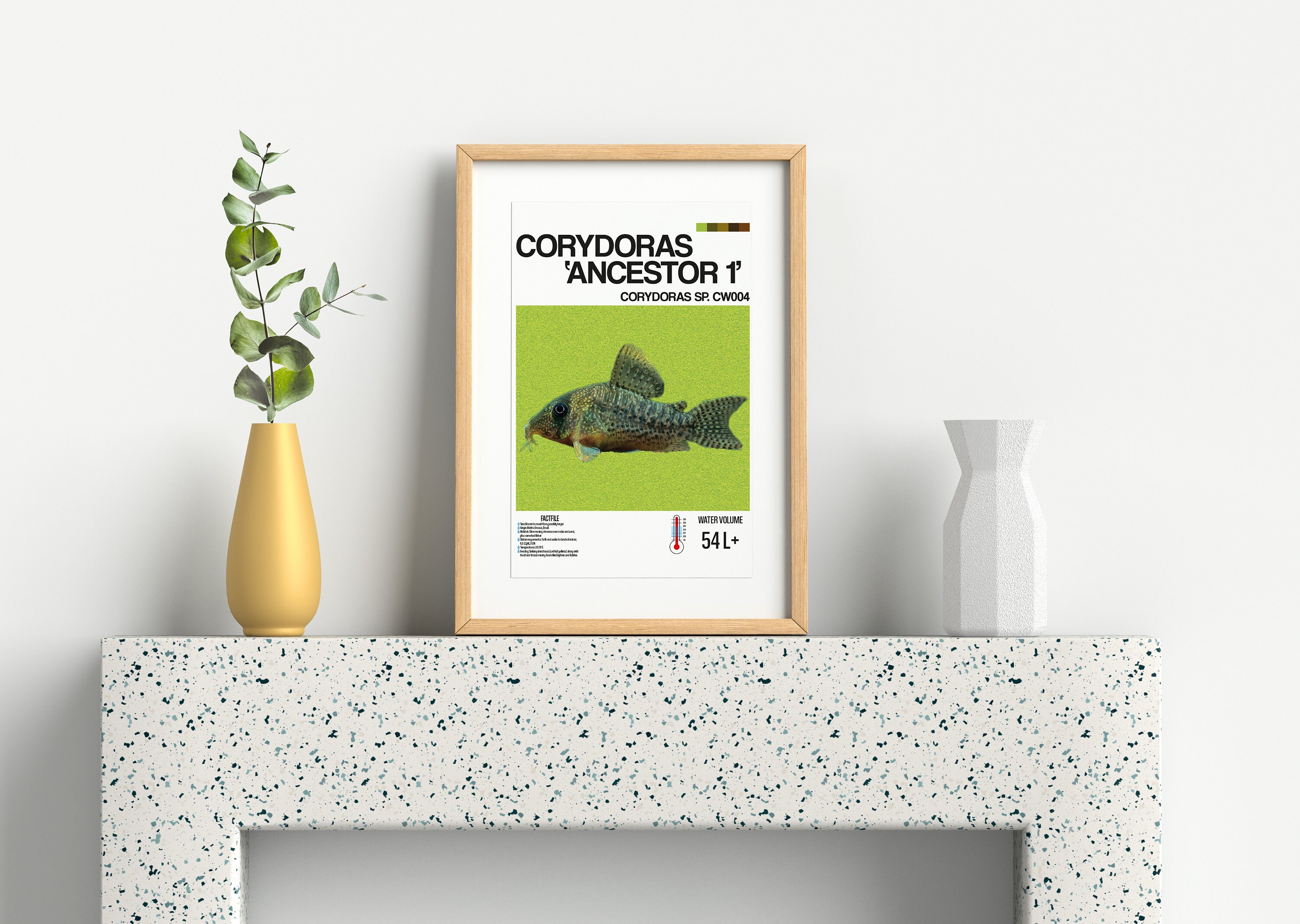 Corydoras Aquarium Fish Poster - Digital Wall Art - Tropical Fish Decor ...