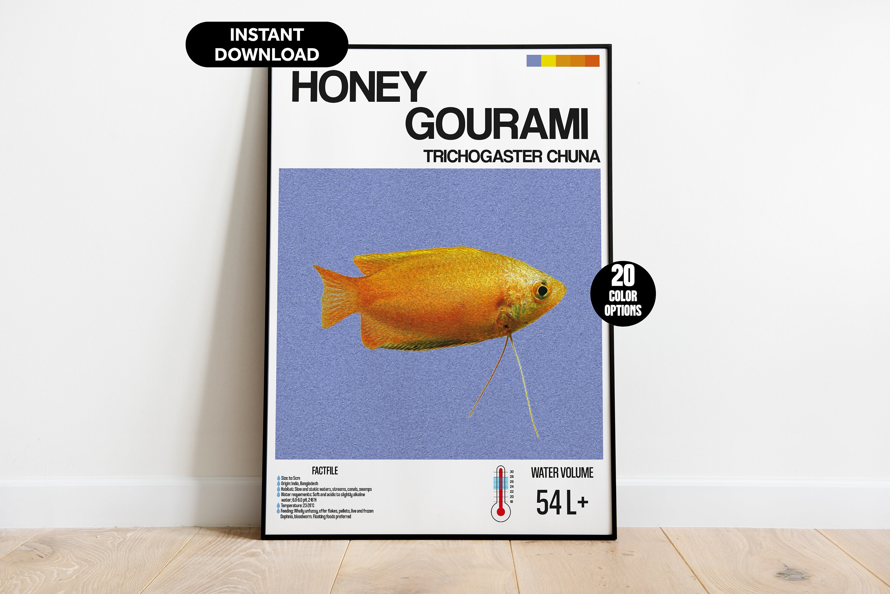 Honey Gourami Fish Poster - Customizable Digital Aquarium Wall Art ...