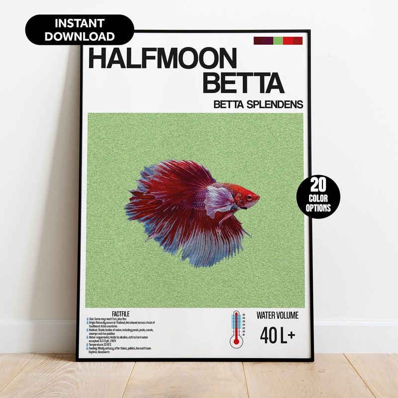 Fish Poster - Etsy