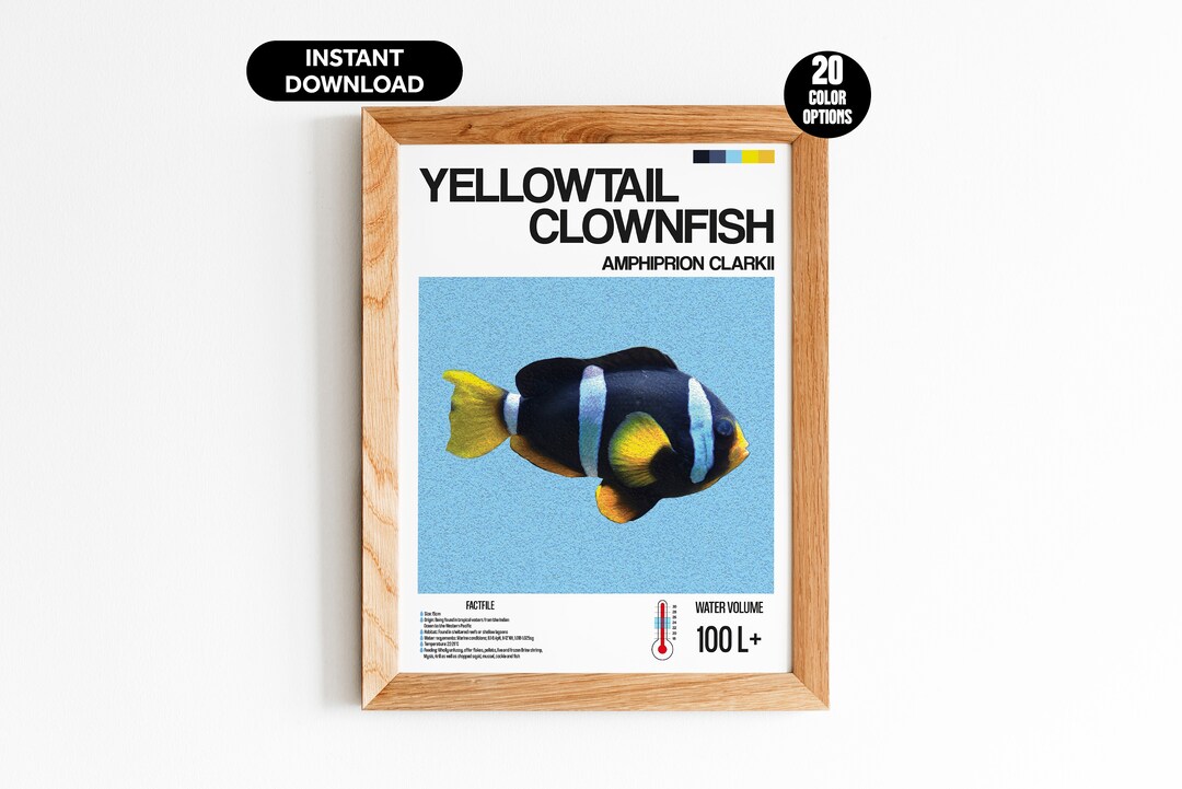 Yellowtail Clownfish Fish Poster - Customizable Digital Aquarium Wall ...