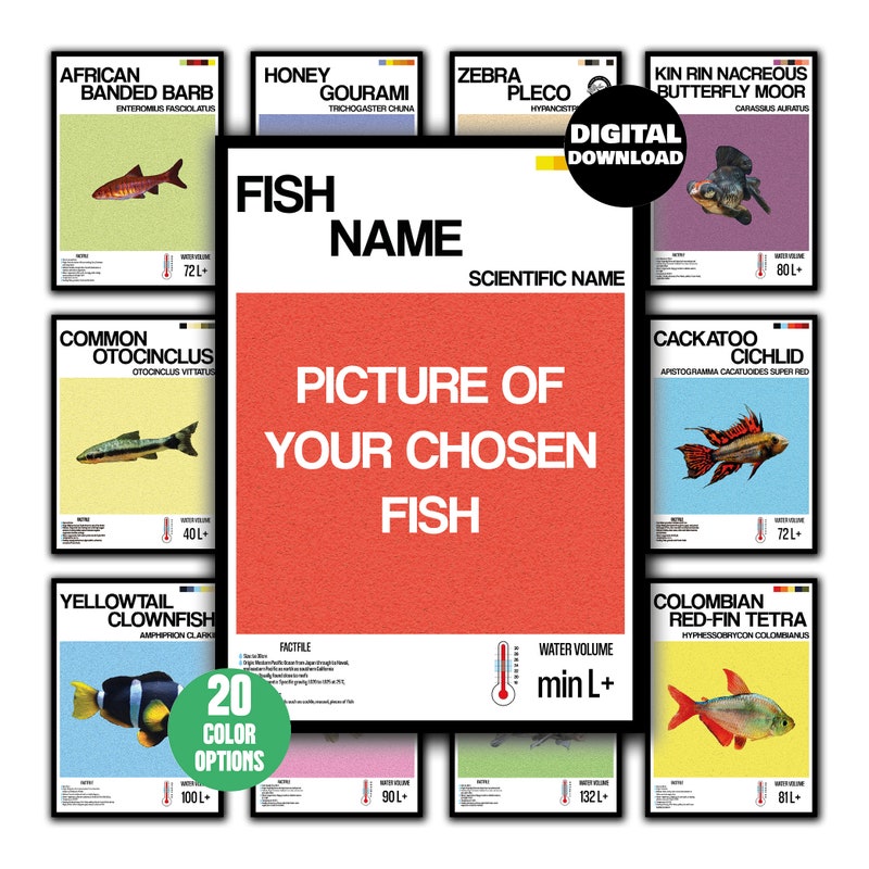 Fish Poster - Etsy