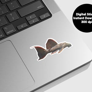 Scarlet Pleco Printable Aquarium Fish Sticker, Print Cut Digital ...