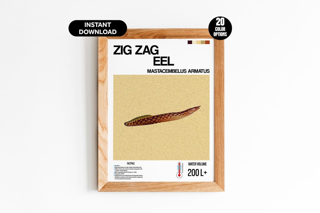 Zig Zag Eel Fish Poster Design – Aquarium Wall Art & Digital Print ...