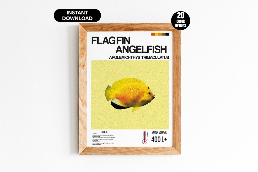Flagfin Angelfish Fish Poster - Customizable Digital Aquarium Wall Art ...