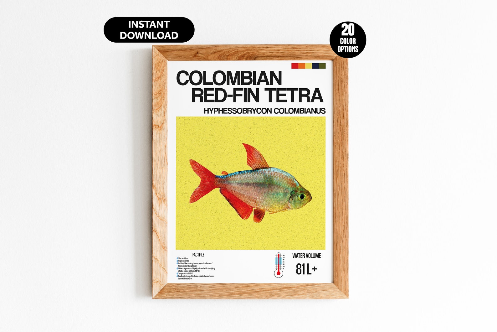 Colombian Red-fin Tetra Aquarium Fish Poster - Digital Wall Art ...
