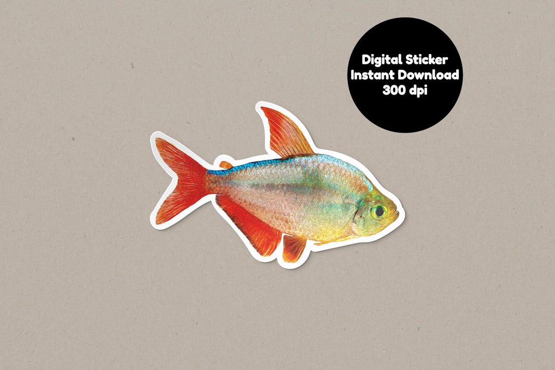 Colombian Red-fin Tetra Printable Aquarium Fish Sticker, Print Cut ...