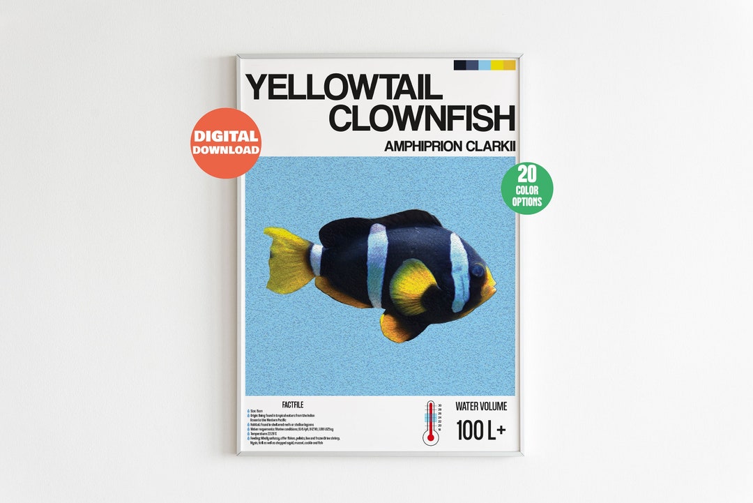 Aquarium Fish Poster Digital Fish Poster Tropical Fish - Etsy