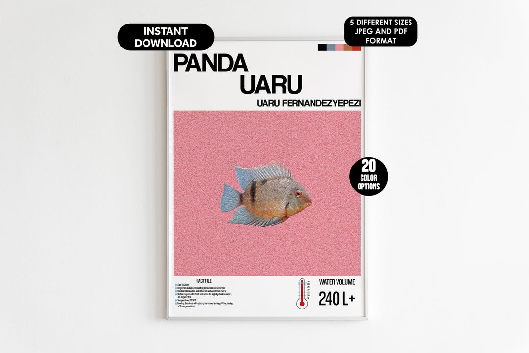 Panda Uaru Perch Aquarium Fish Poster - Digital Wall Art - Tropical ...