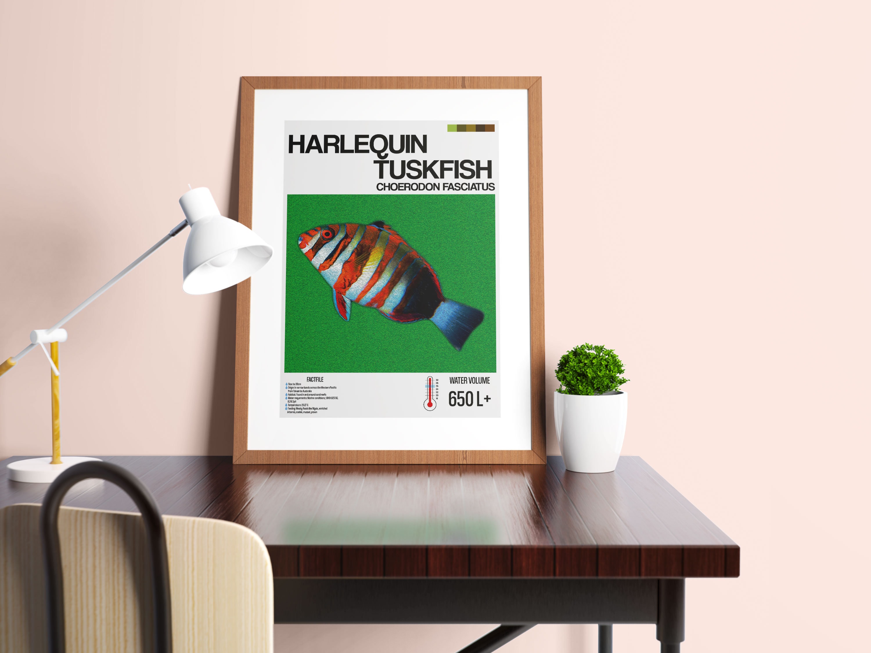 Aquarium Fish Poster Aquarium Poster Tropical Fish Digital - Etsy