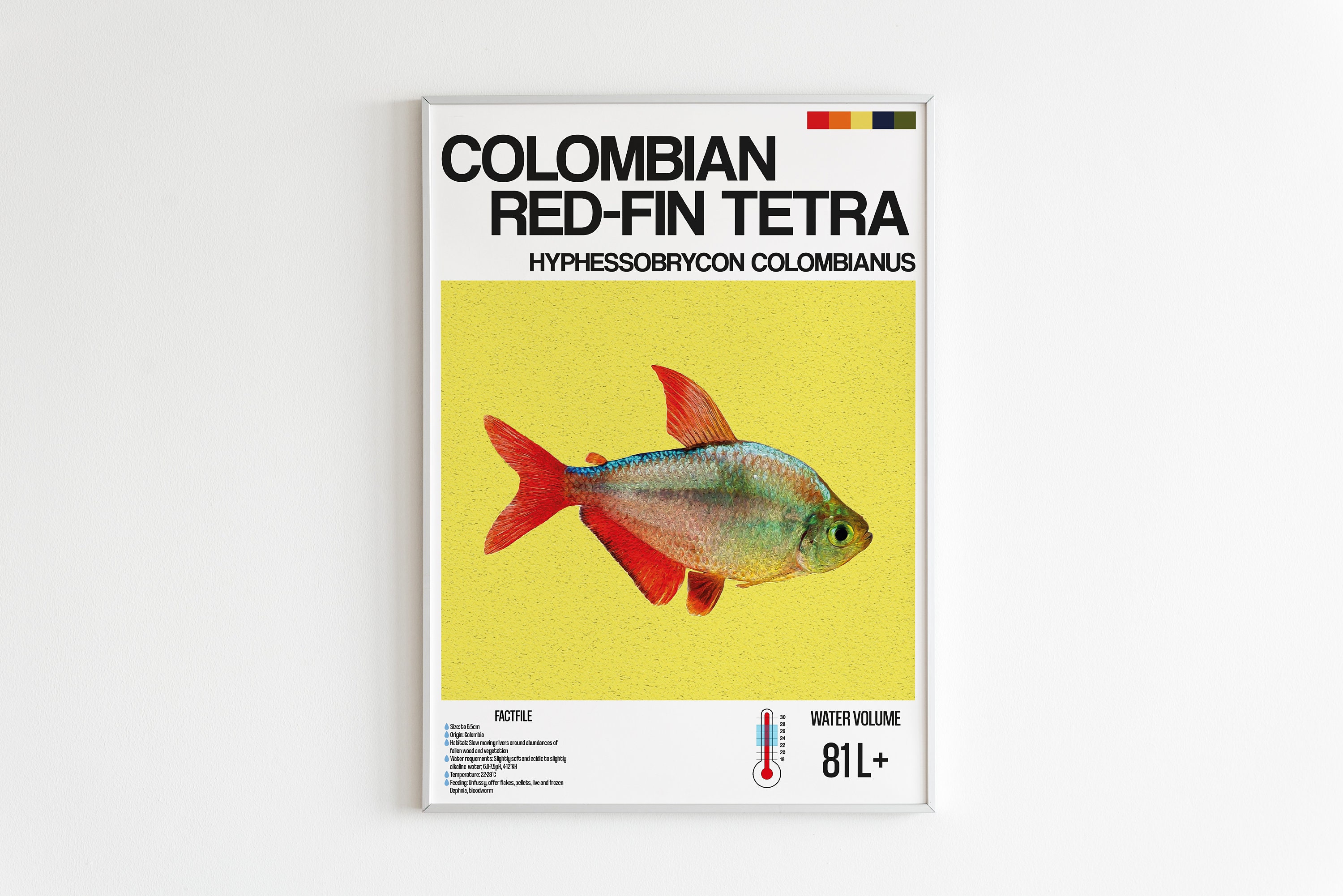 Colombian Red-fin Tetra Aquarium Fish Poster - Digital Wall Art ...