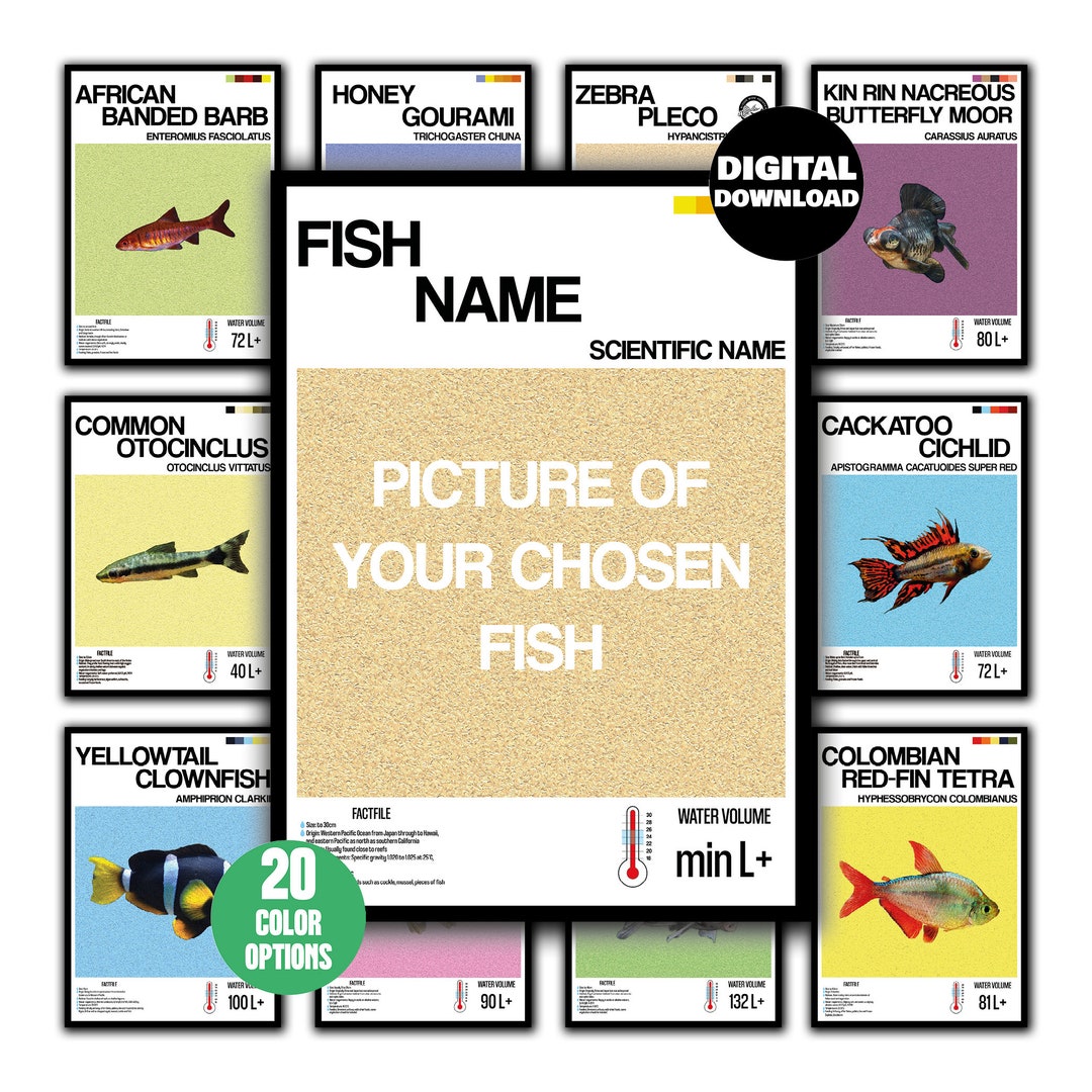 Choose Your Own Fish Poster, Custom Fish Poster, Digital Fish Poster ...