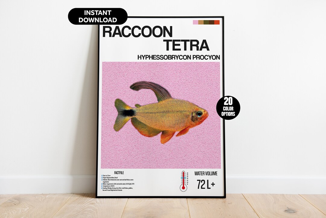 Raccoon Tetra Aquarium Fish Poster - Digital Wall Art - Tropical Fish ...