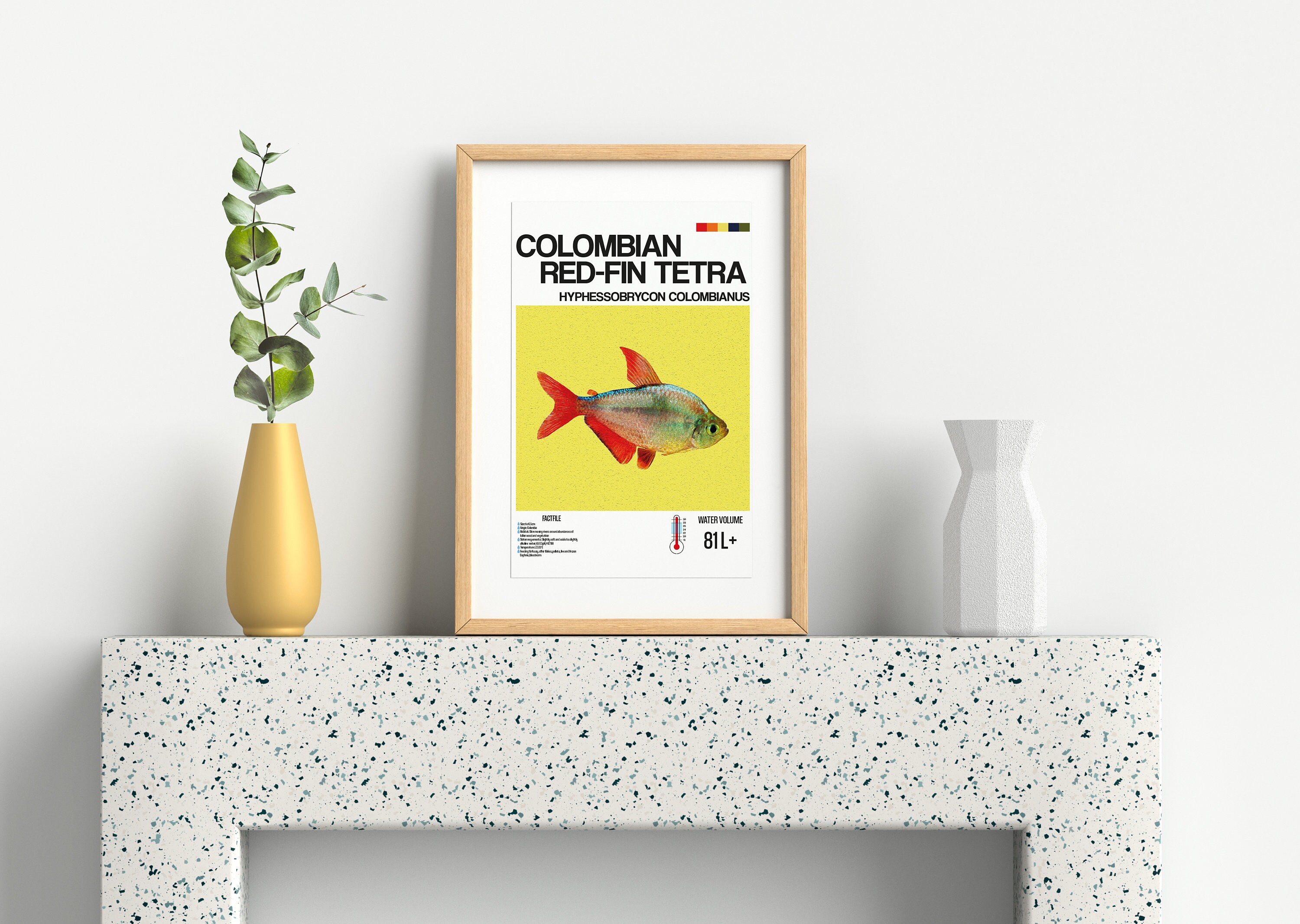 Colombian Red-fin Tetra Poster for Fish Wall Art Design & Aquarium ...