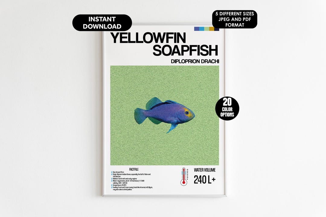 Yellowfin Soapfish Aquarium Fish Poster - Digital Wall Art - Tropical ...