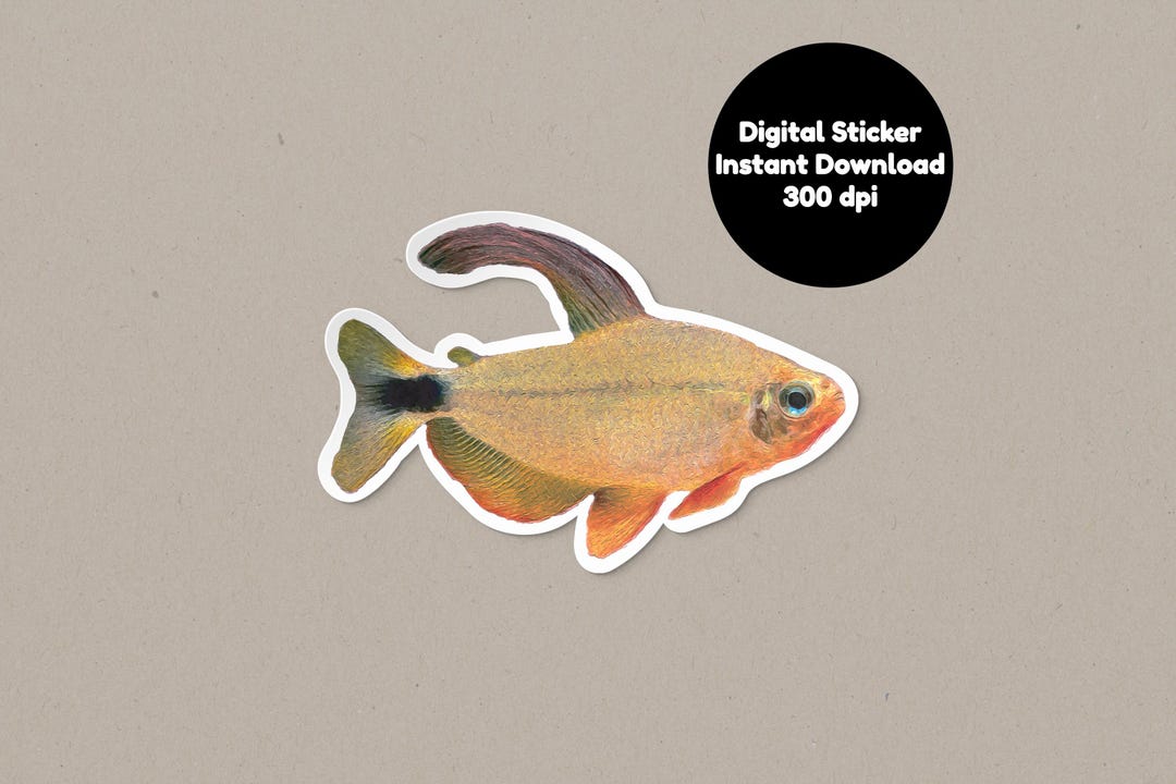Raccoon Tetra Printable Aquarium Fish Sticker, Print Cut Digital ...
