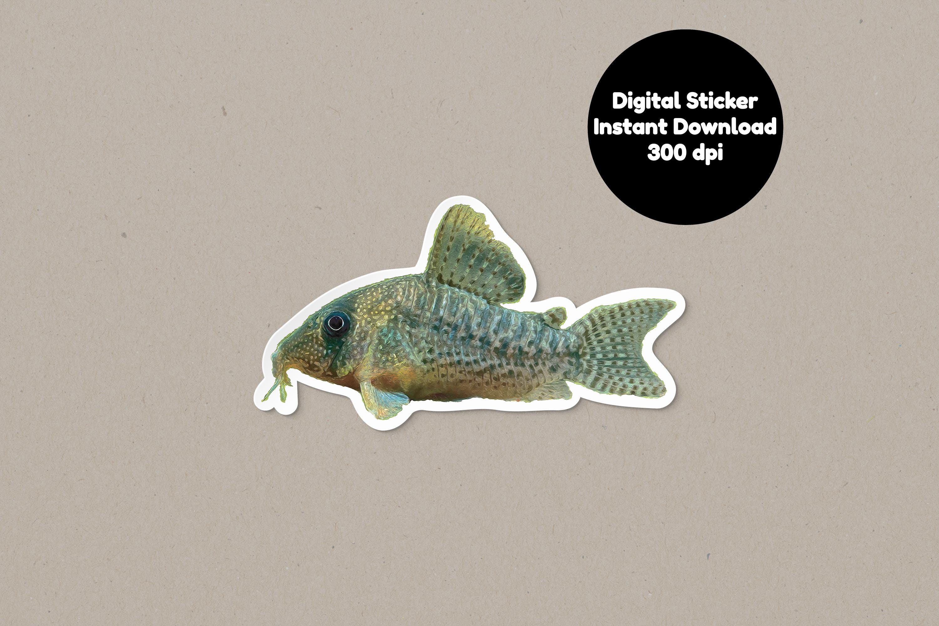 Corydoras Printable Aquarium Fish Sticker, Print Cut Digital Sticker ...
