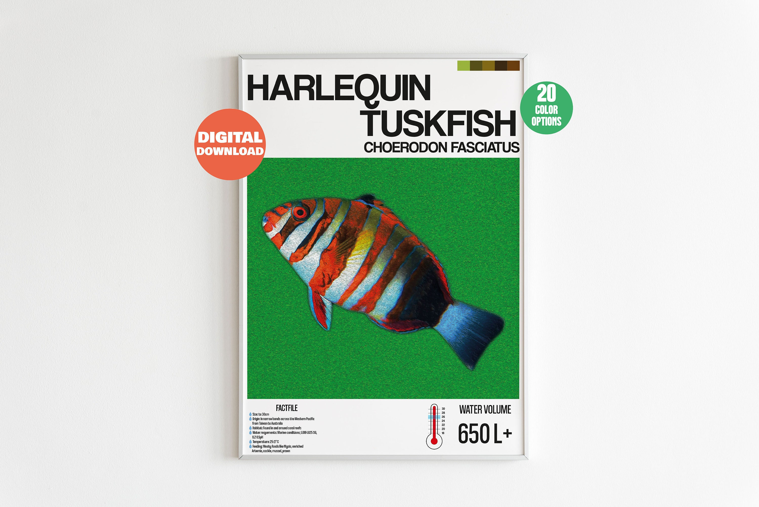 Aquarium Fish Poster Aquarium Poster Tropical Fish Digital - Etsy