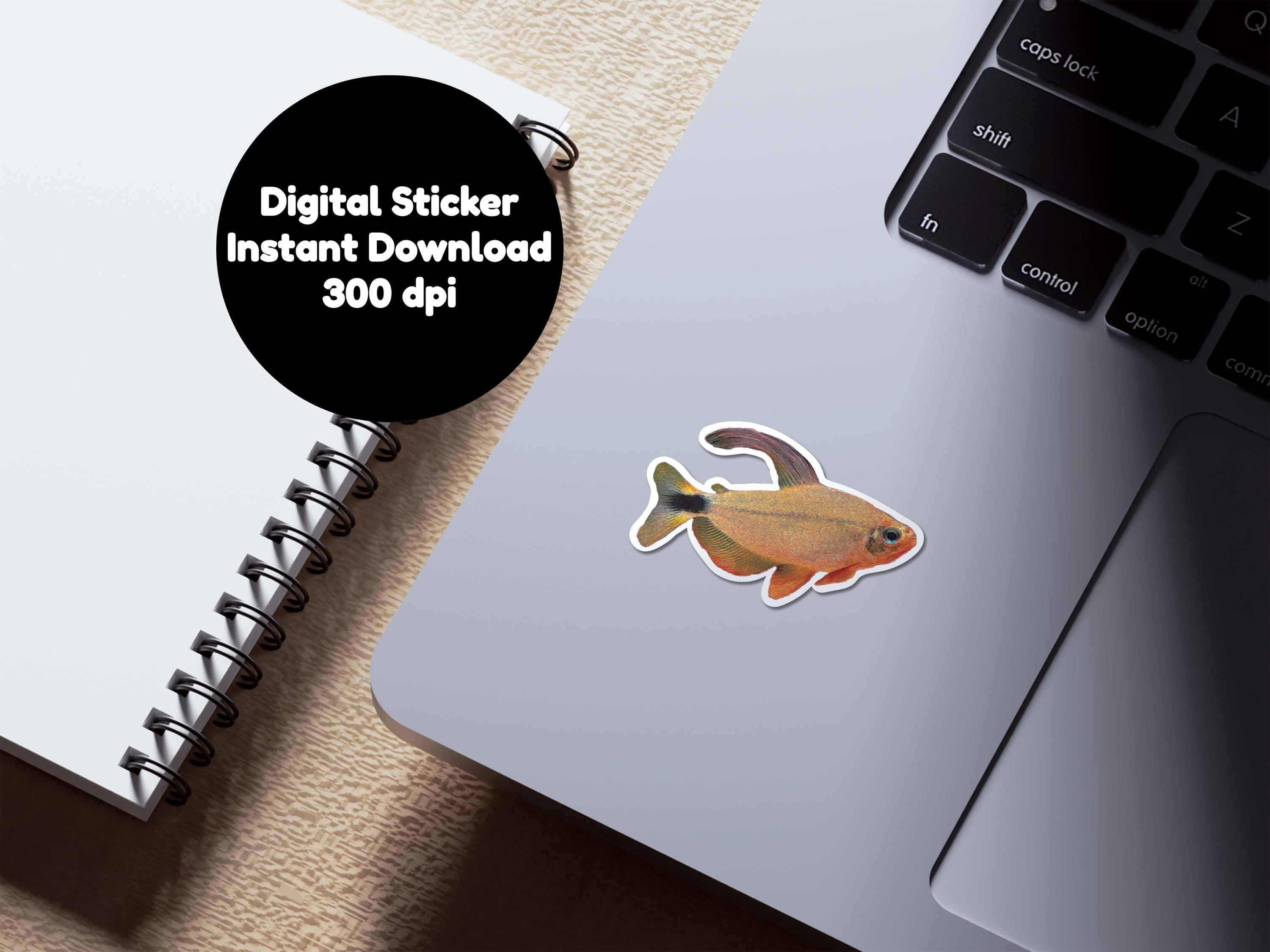 Raccoon Tetra Printable Aquarium Fish Sticker, Print Cut Digital ...