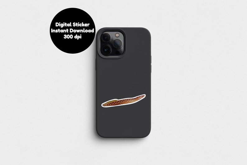 Zig Zag Eel Printable Aquarium Fish Sticker, Print Cut Digital Sticker ...