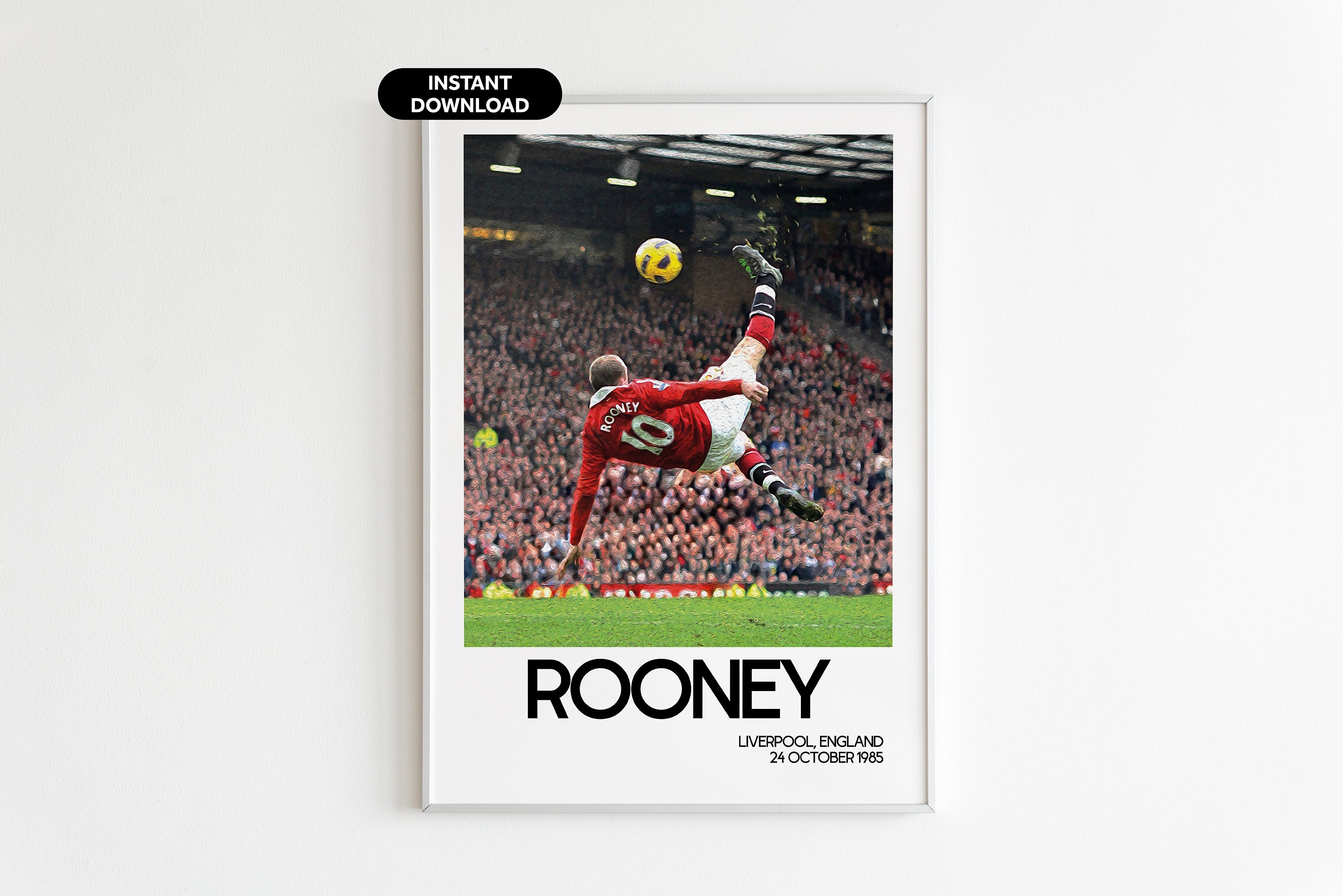 Wayne Rooney 20242024