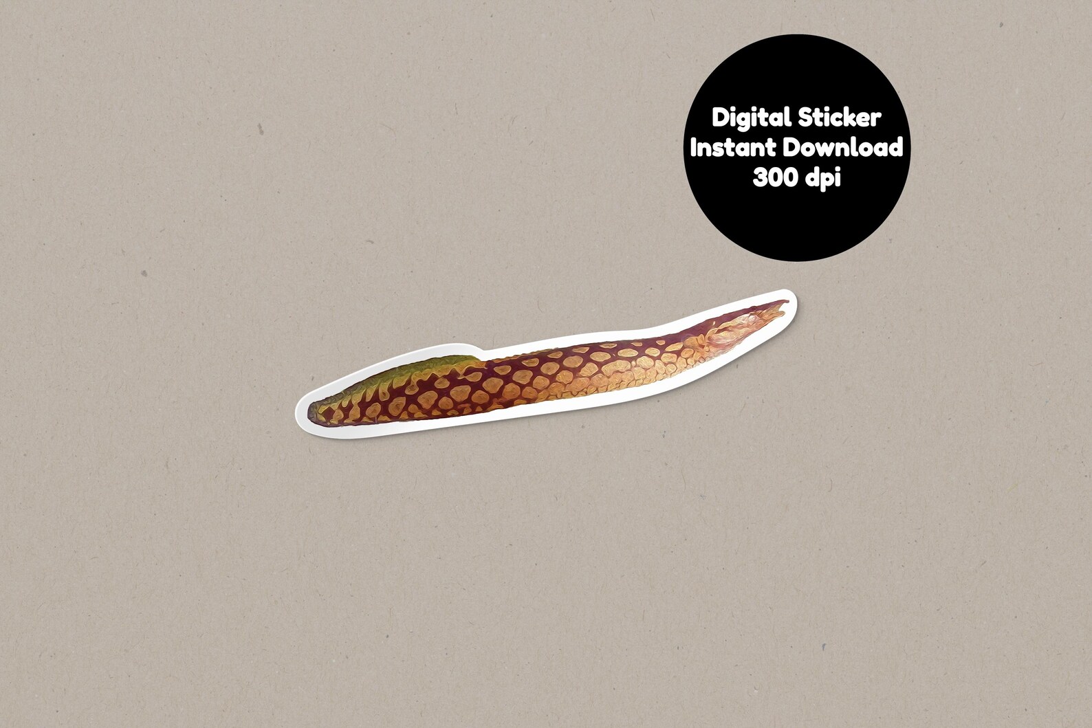Zig Zag Eel Printable Aquarium Fish Sticker, Print Cut Digital Sticker ...