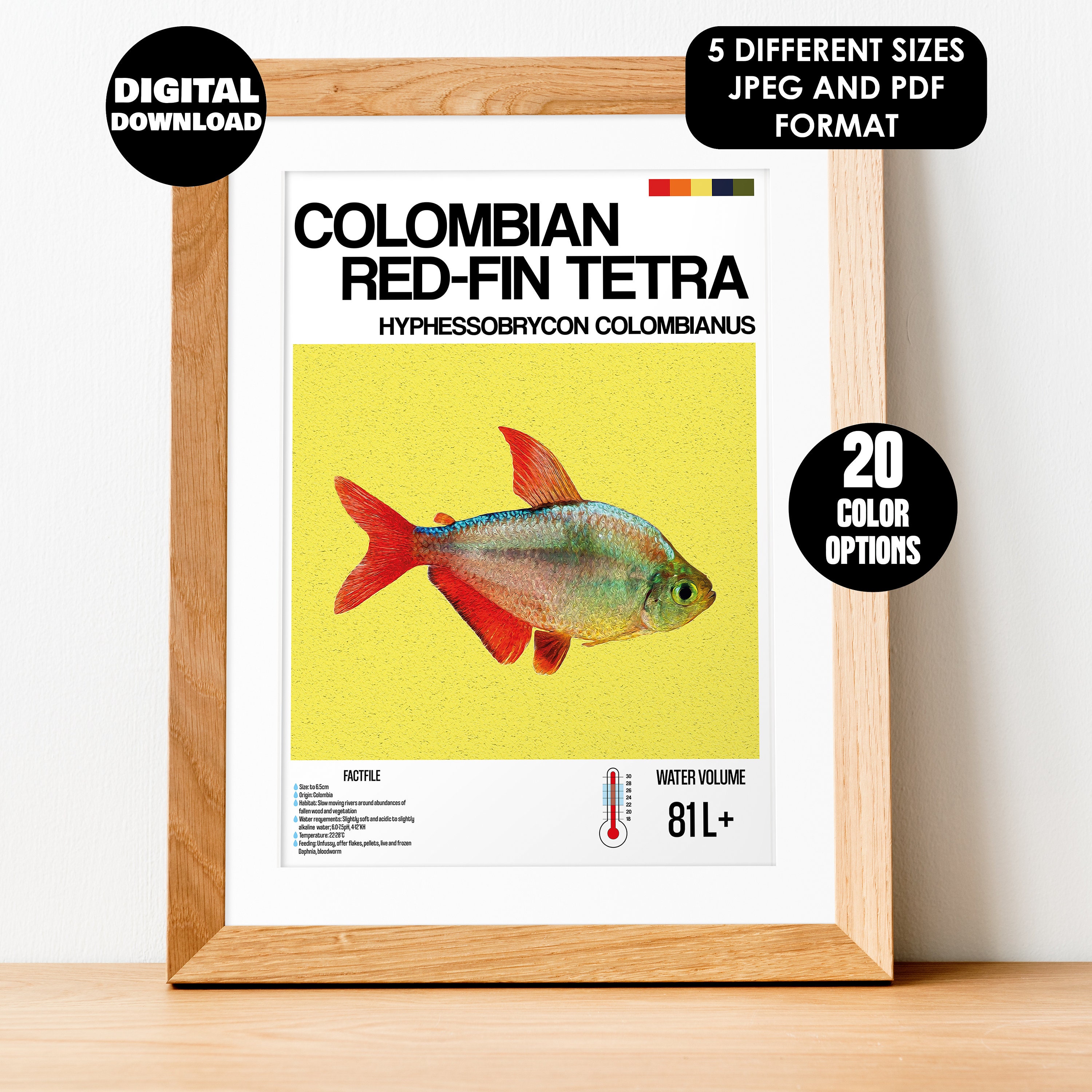 Colombian Red-fin Tetra Aquarium Fish Poster - Digital Wall Art ...