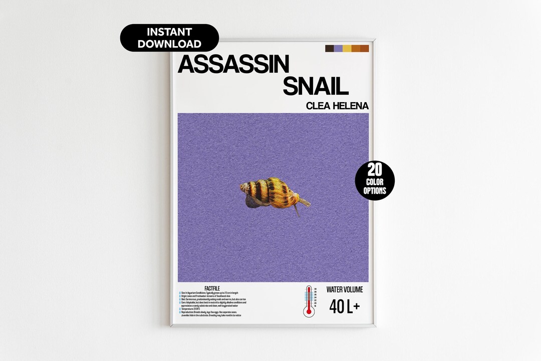 Assassin Snail Poster - Customizable Digital Aquarium Wall Art - Unique ...