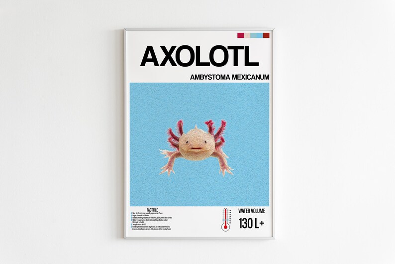 Póster de pez axolotl para diseño de arte mural y decoración de ...