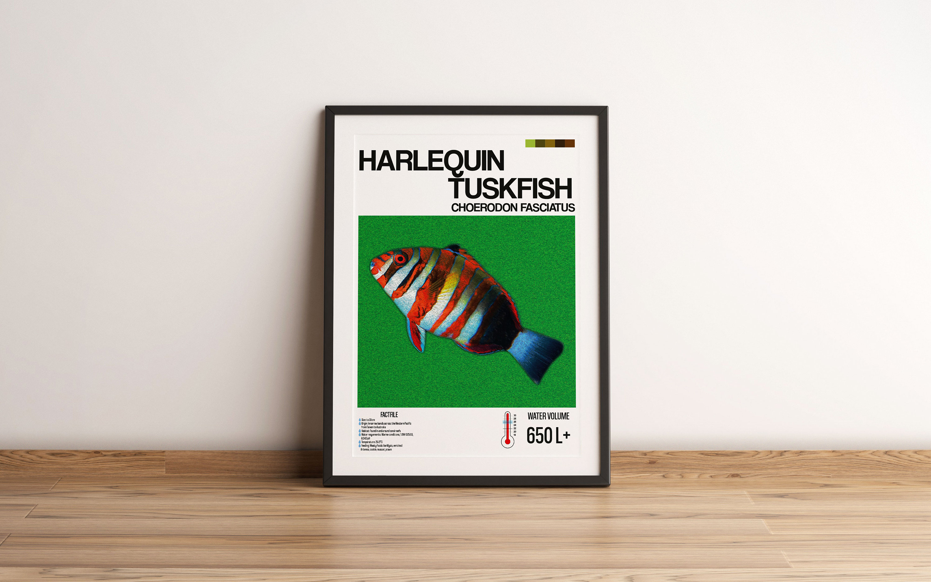 Aquarium Fish Poster Aquarium Poster Tropical Fish Digital - Etsy