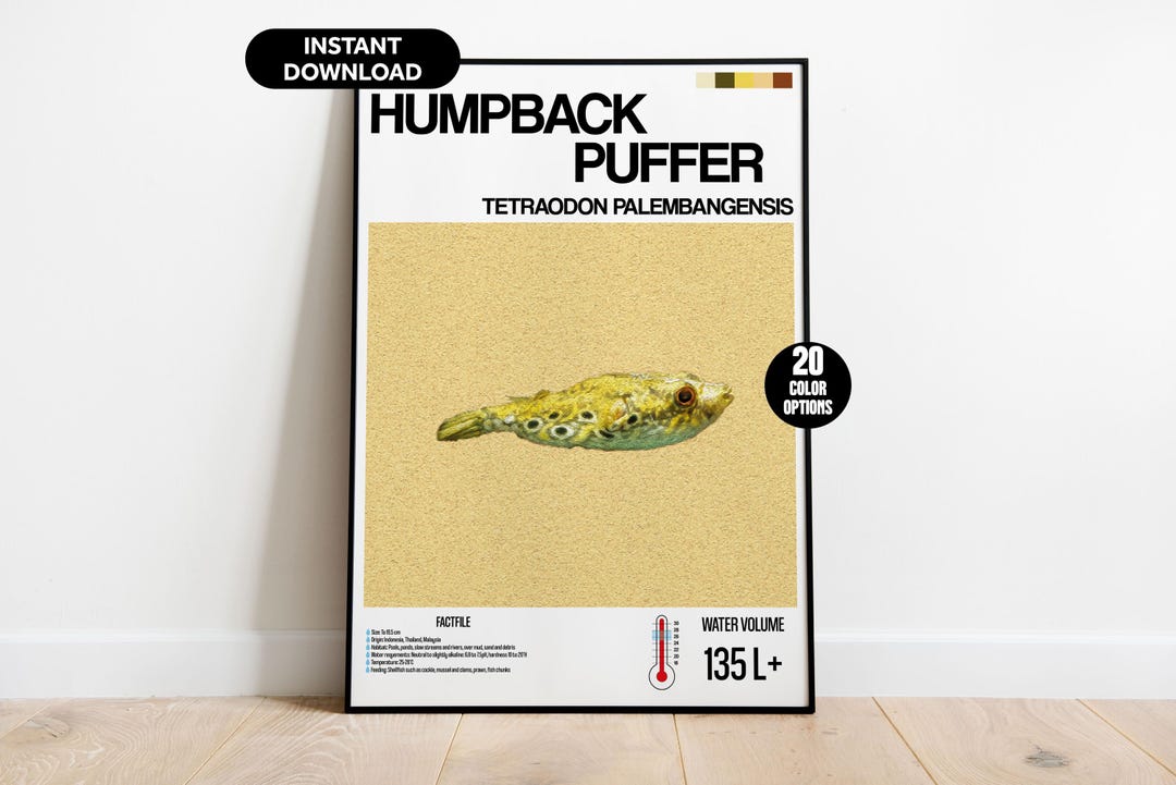 Humpback Puffer Fish Poster Design – Aquarium Wall Art & Digital Print ...