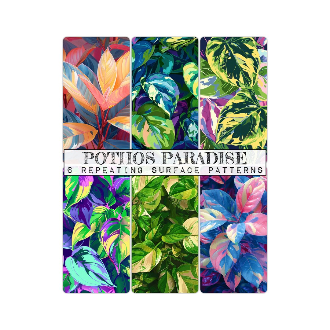6 Pack Large Surface Pattern | Pothos Houseplant PNG Image File for ...