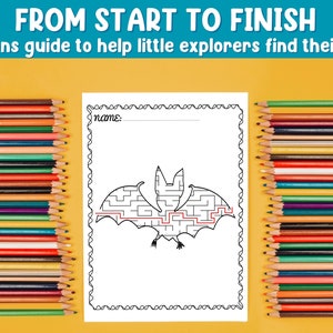 Maze Puzzles Animals and Insects 50 Mazes With Solutions Educational ...