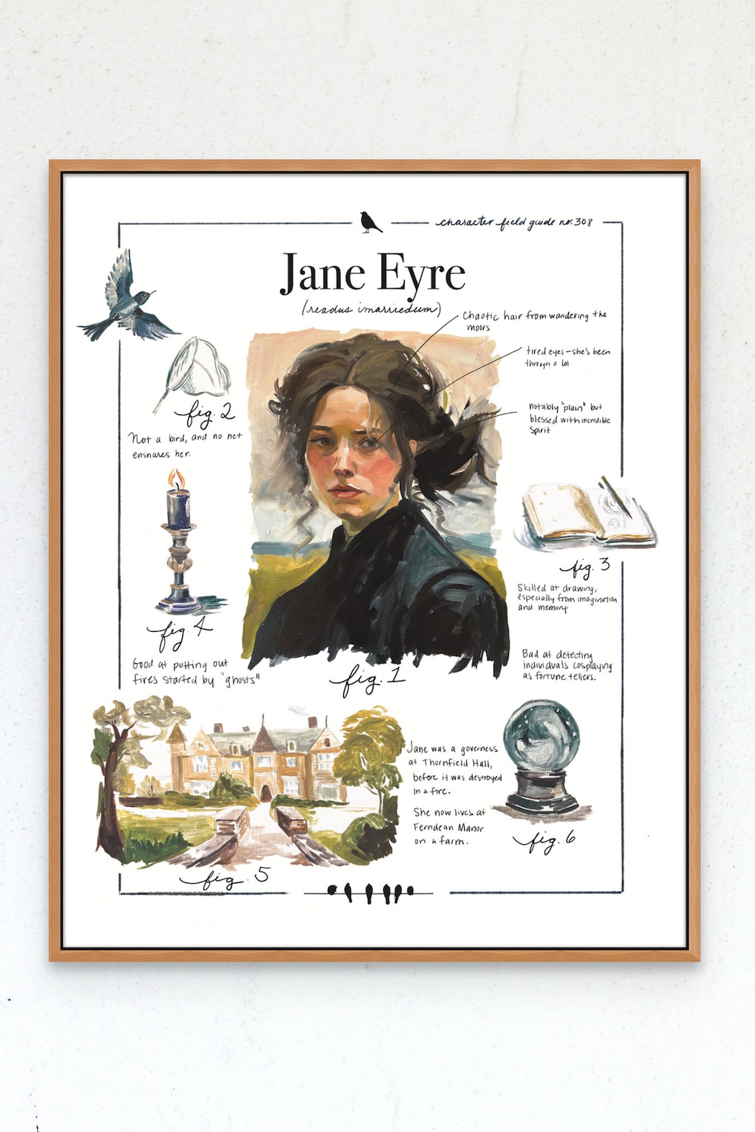 Jane Eyre Character Field Guide Bookish Gifts With Exclusive Art Novel ...