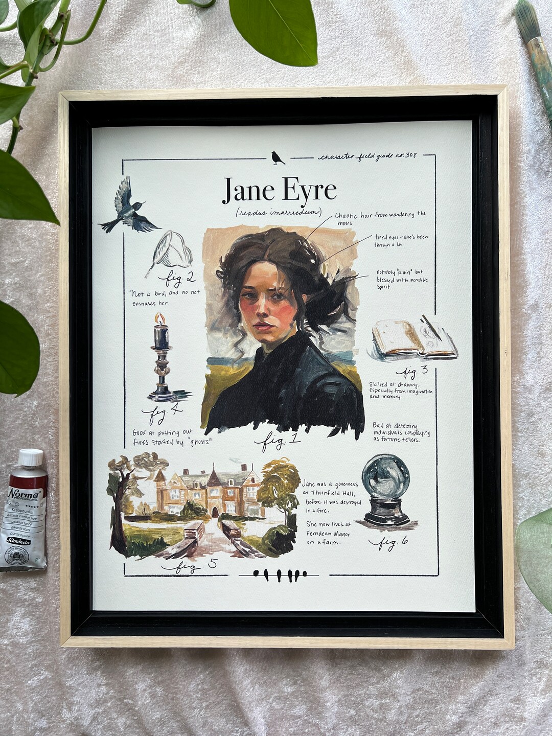 Jane Eyre Character Field Guide Bookish Gifts With Exclusive Art Novel ...