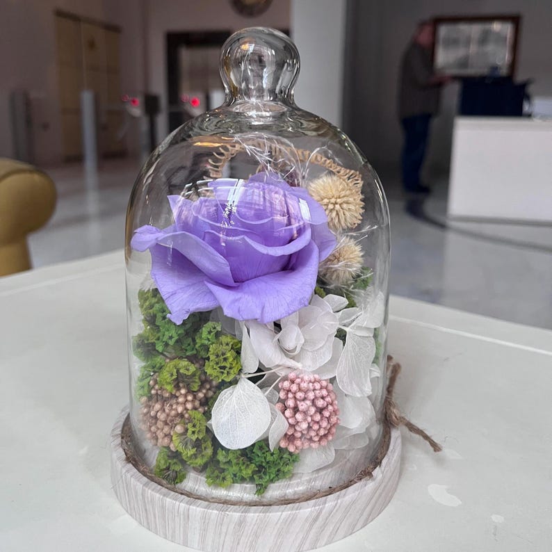 Eternal Rose Glass Dome Gift - Etsy UK
