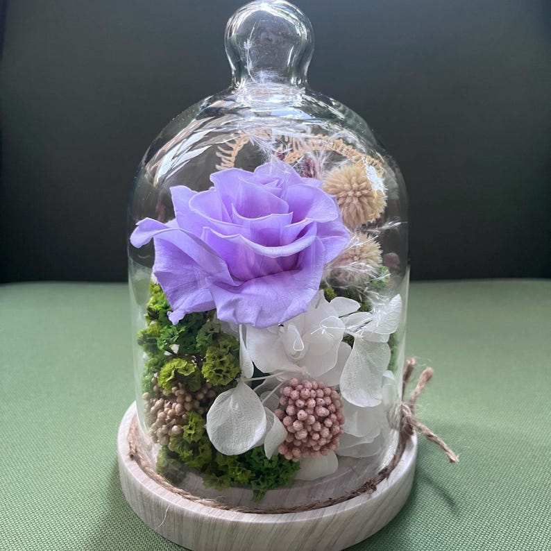 Eternal Rose Glass Dome Gift - Etsy UK
