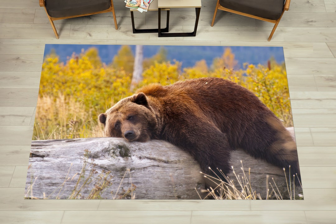 Brown Bear Resting on a Log Rug, Funny Rug, Bear Rug, Animal Rugs ...