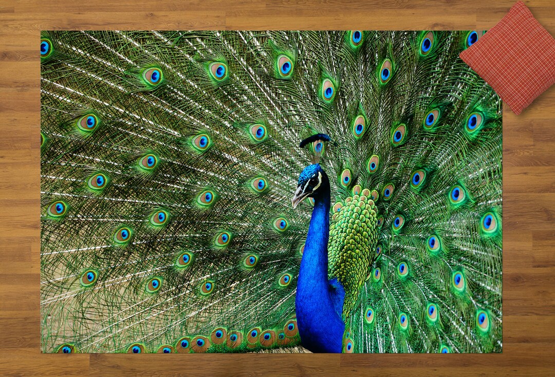 Peacock Feather Area Rug | Vibrant Blue Green Bird Print | Machine ...