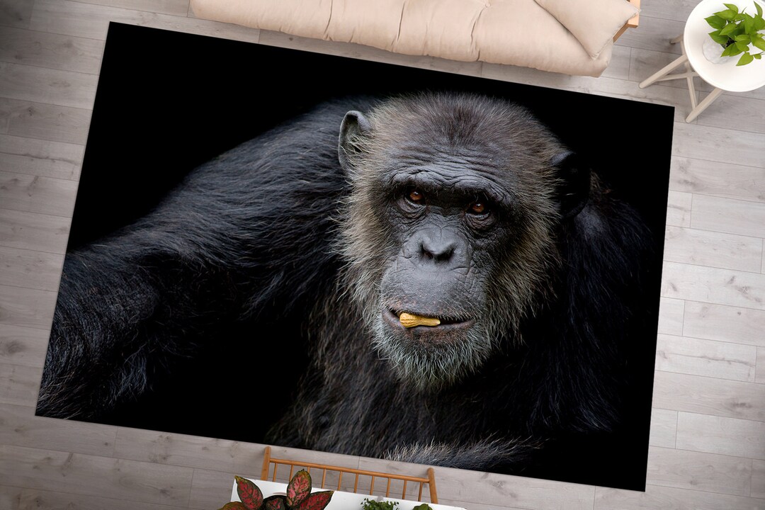Chimpanzee Rugs, Cute Monkey Rug, Old Monkey Rug, Animal Rugs ...