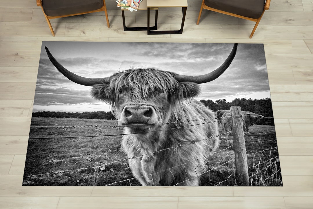 Scottish Highland Cattle Photo Rugs, Wild Cow Rugs, Wild Bull Rug ...