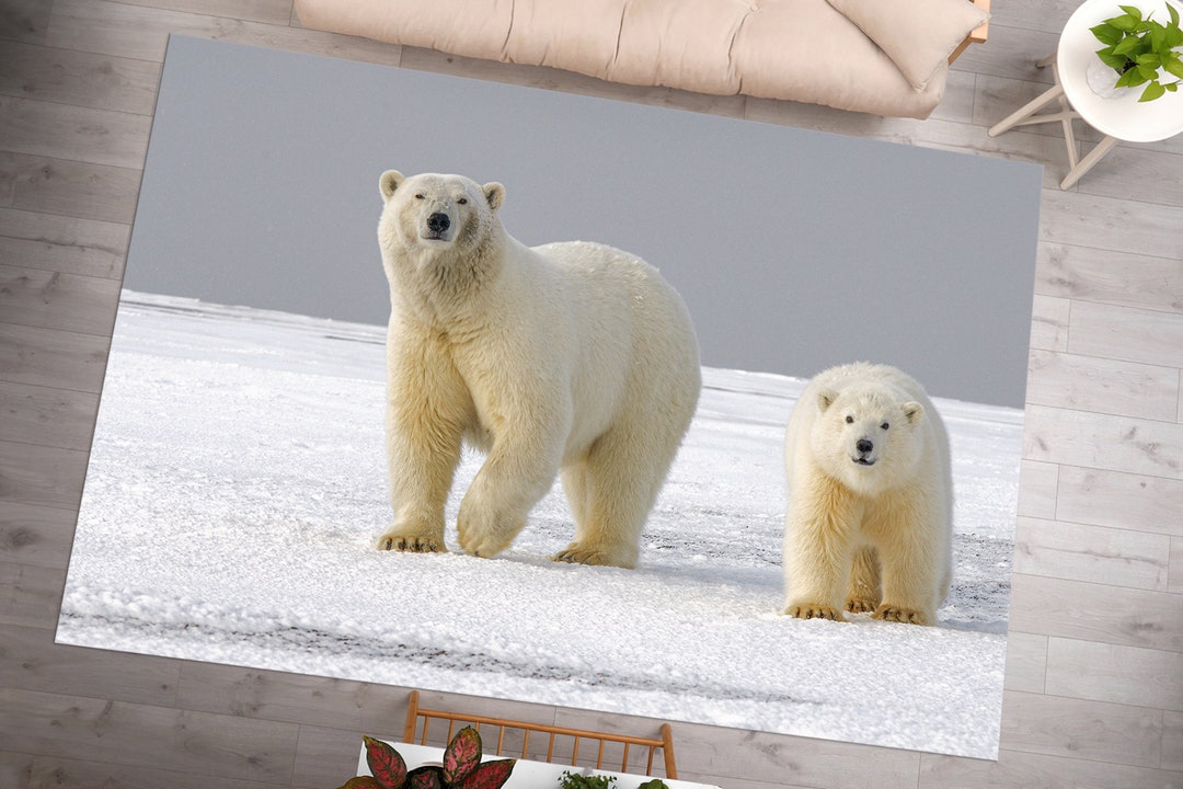 Bear Rugs, Two Bears Rug, Polar Bear Rug, Animal Rug, Wall Hanging Rug ...