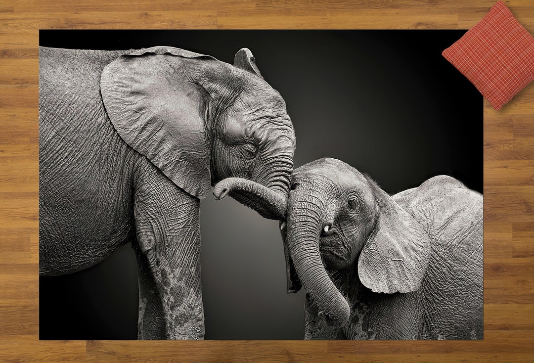Elephant Baby and Mom Rug, Safari Rugs, Elephants Love Rug, Animal Rugs ...
