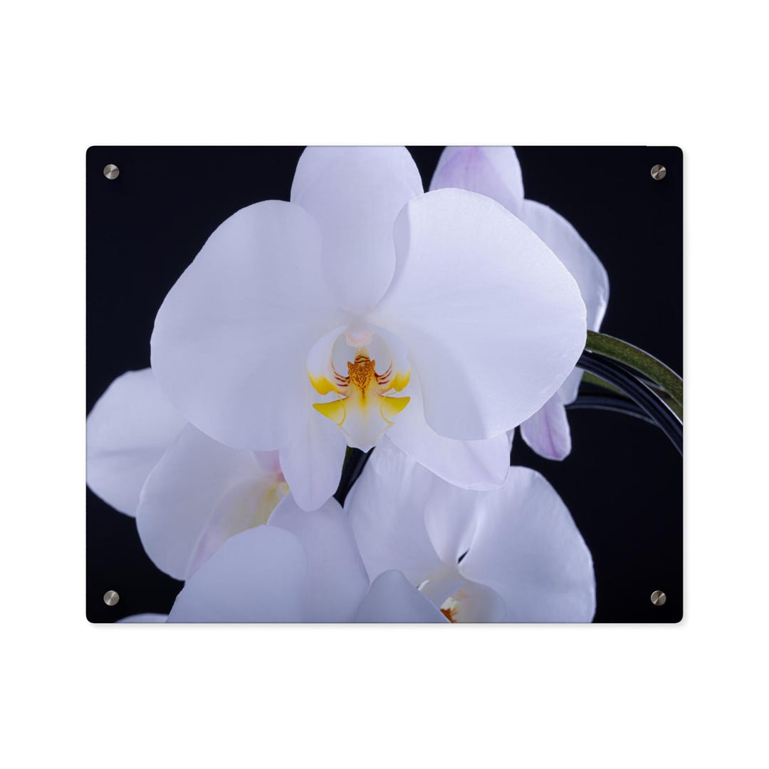 Orchid Flower Acrylic Wall Art Panels, Home Decor, Room Decor, Wall ...