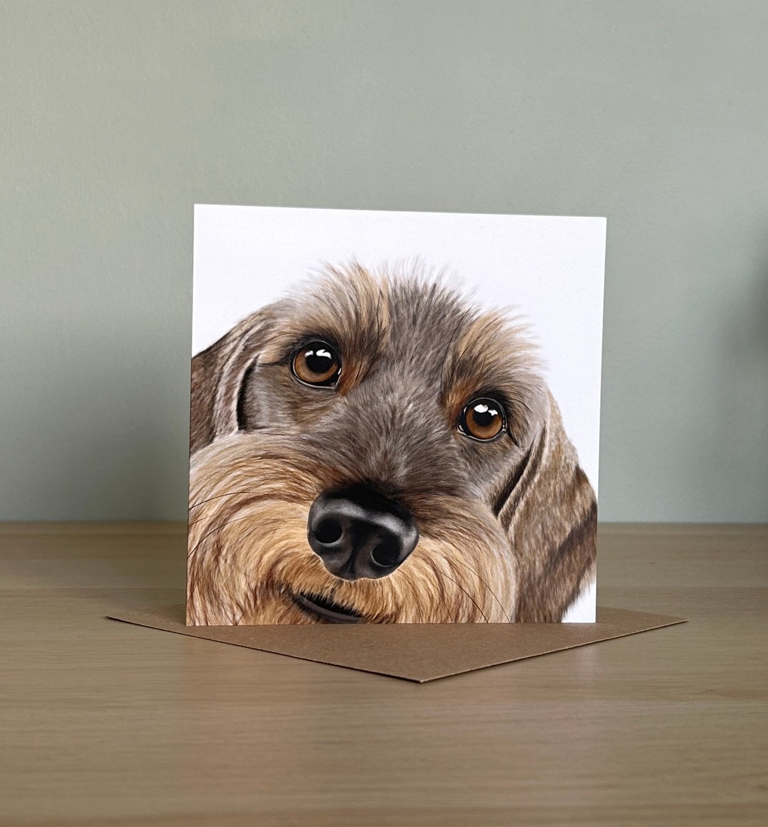 Greetings Card Dog Card Dachshund Card Dog Lover Card Card for Dog ...