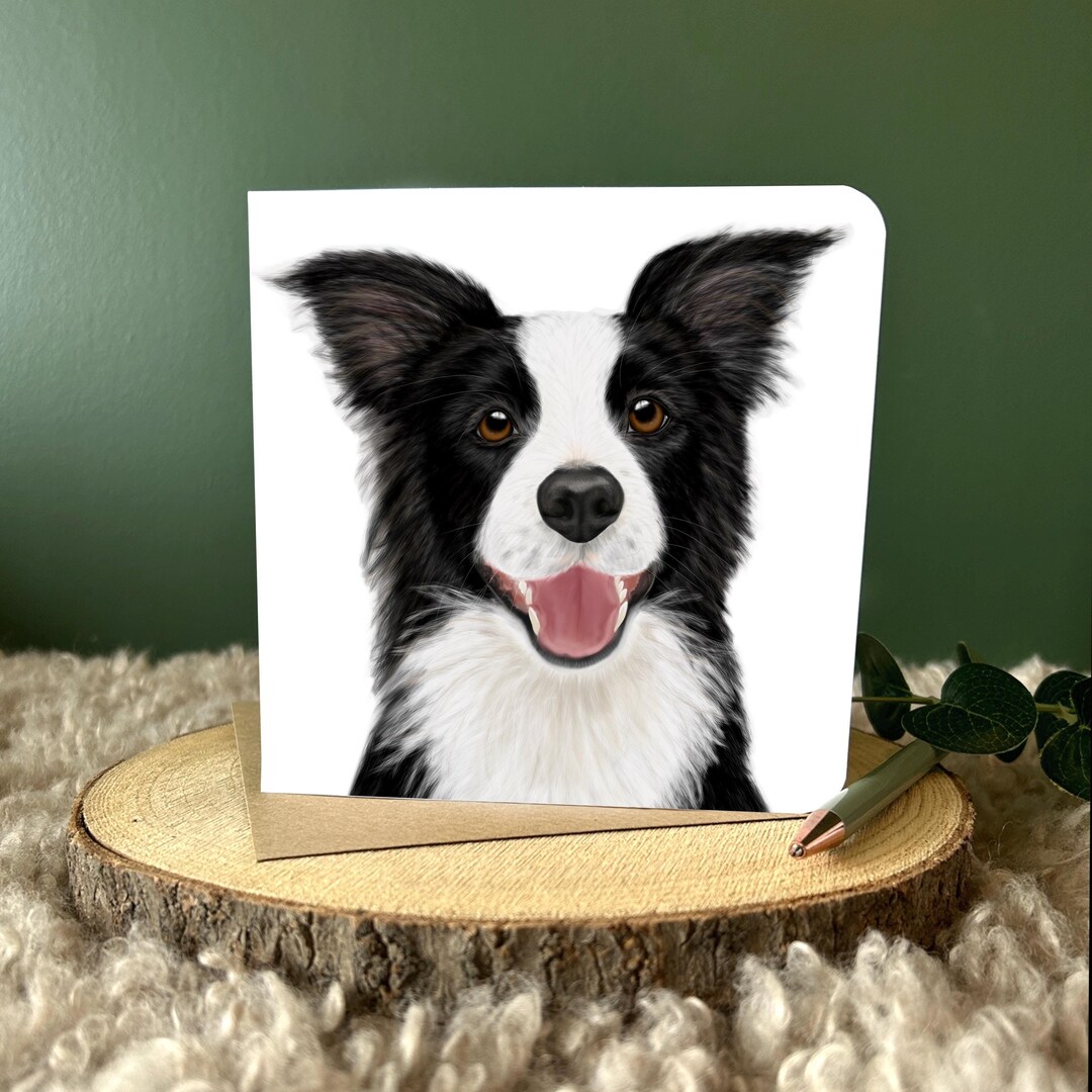 Border Collie Card Dog Card Blank Greetings Card Birthday Card Gift for ...