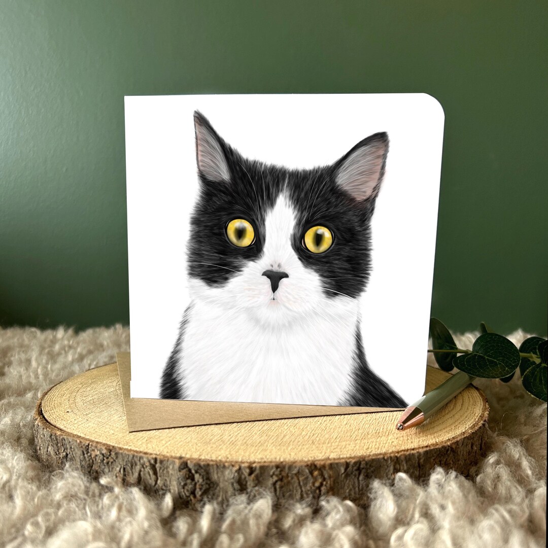 Black and White Cat Card Cat Card Blank Greetings Card Birthday Card ...