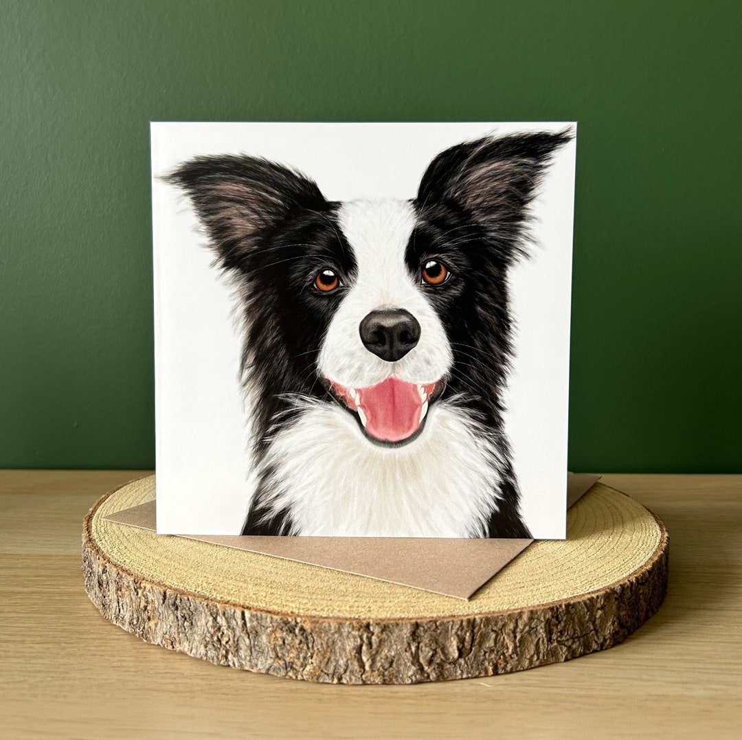 Border Collie Card Dog Card Blank Card Greetings Card Birthday Card ...