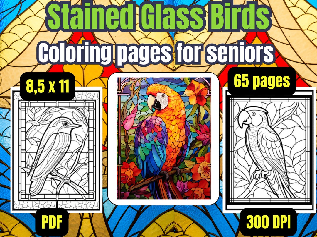 65 Pages of Stained Glass Birds for Seniors. Bold and Easy - Etsy