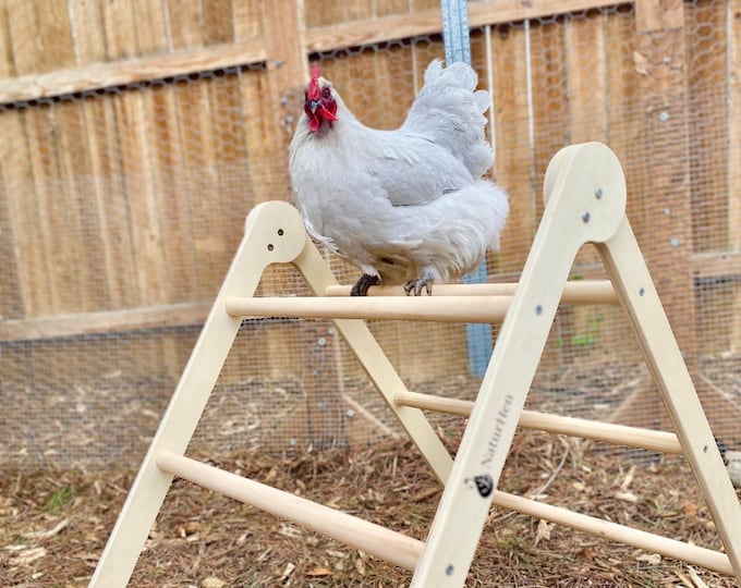 Chicken Perch Ladder & Roosting Bar - Extra Large - Sturdy Chicken Toy ...