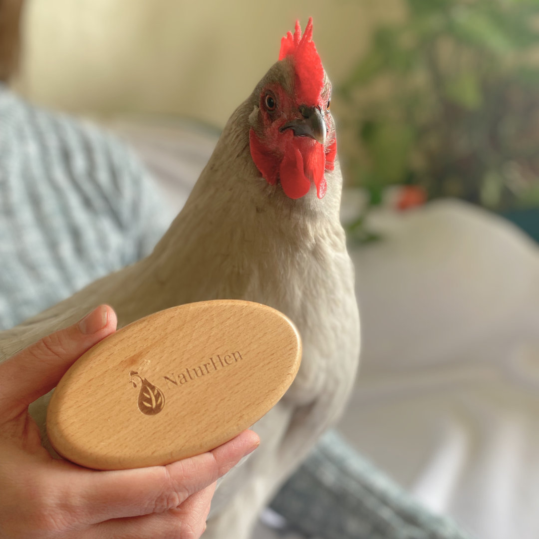 Chicken Feather Brush - Extra Soft Brush for Pet Chickens - Chicken ...